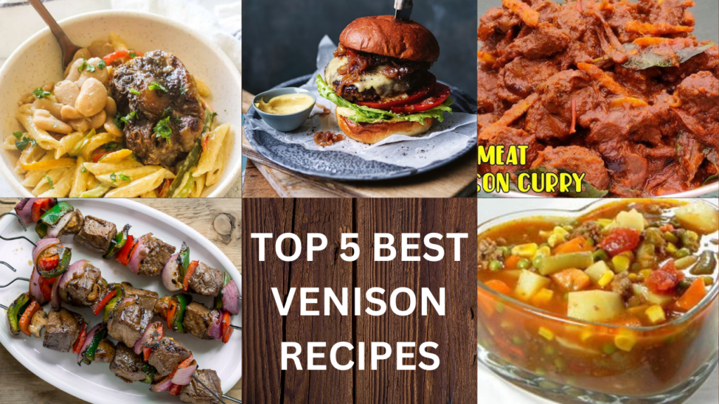 recipe Top 5 best Venison recipe : - reshopin